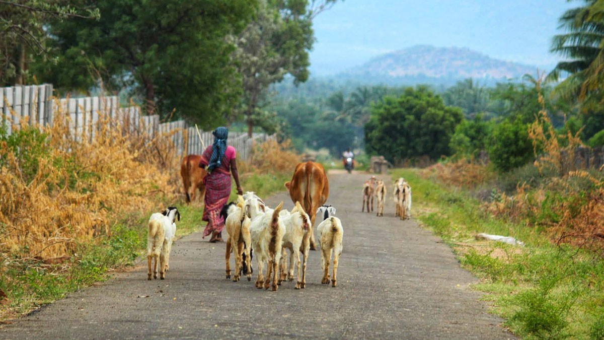 16 Beautiful Tiruppur Tourist Places - Tourist Guide to Tiruppur